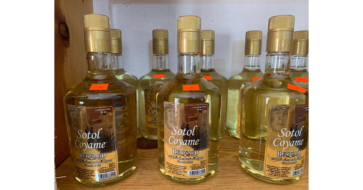 Sotol chihuahuense: la bebida que alivia el cuerpo y alegra el alma ...