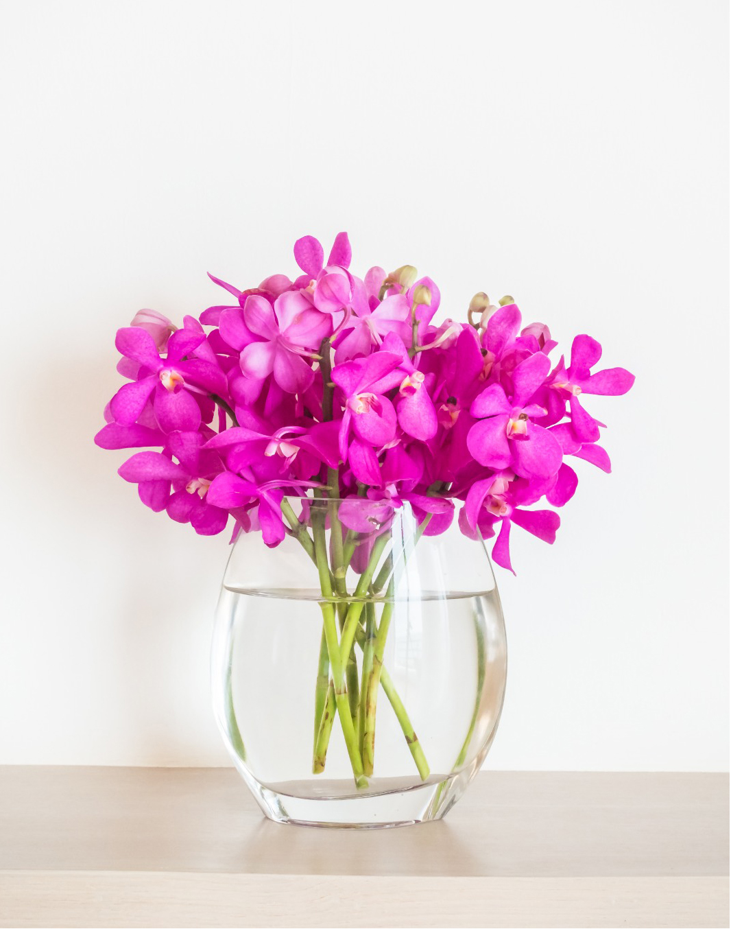 Ideas para decorar tu hogar con flores - Norte De Chihuahua