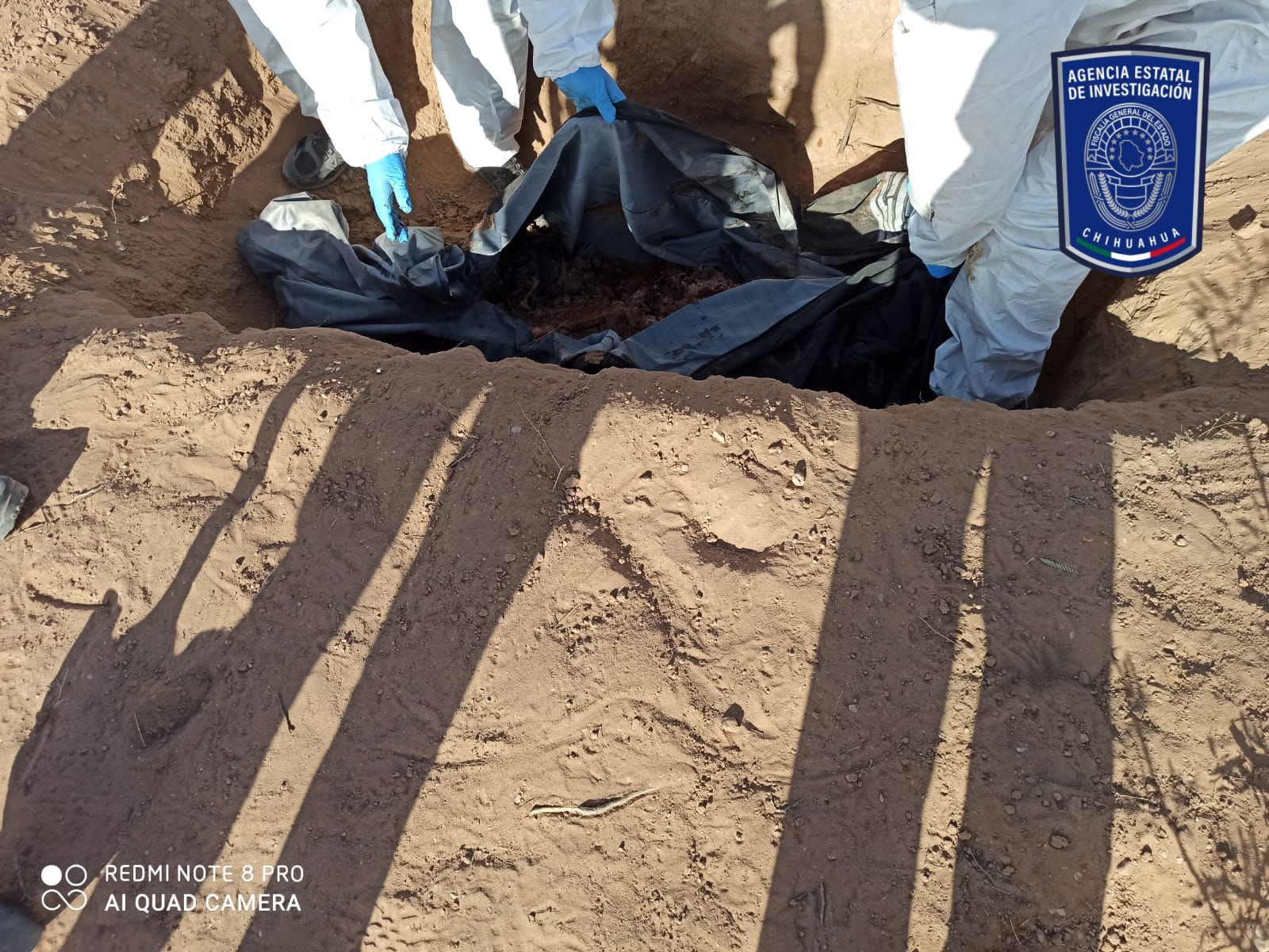 Hallan tres cuerpos en fosas clandestinas en Puerto Palomas - Norte De Chihuahua