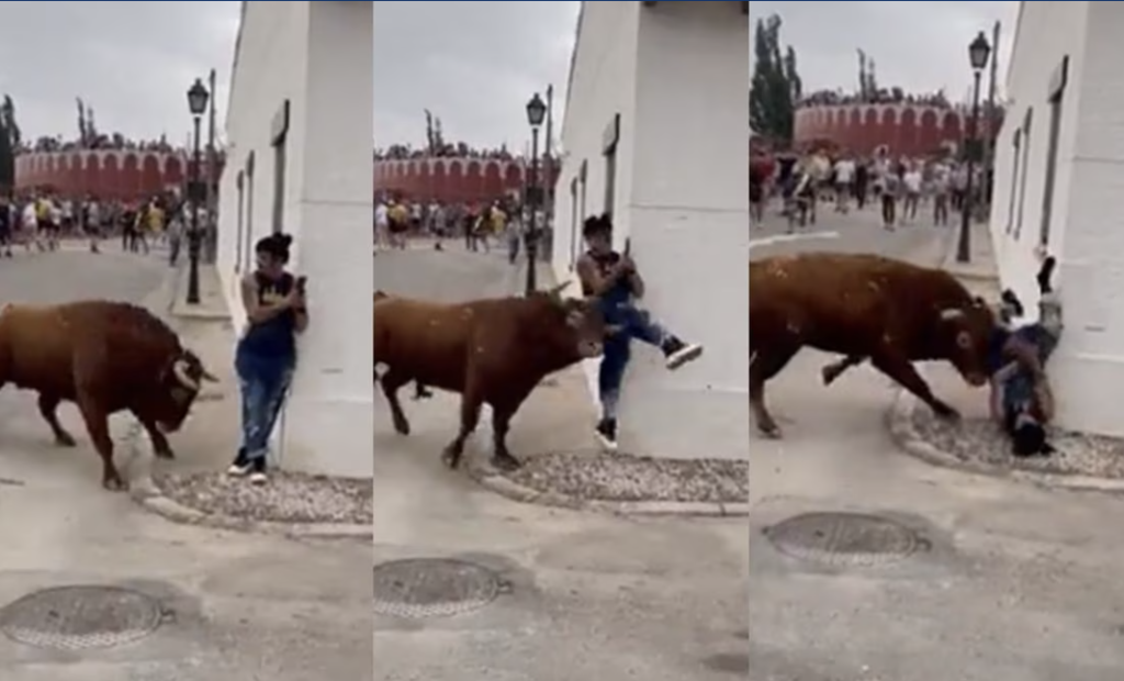 VIDEO: Mujer recibe fuerte cornada de un toro mientras ella estaba en ...