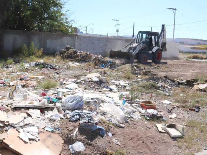 Limpian 21 lotes baldíos y 5 tiraderos clandestinos de basura - Norte ...